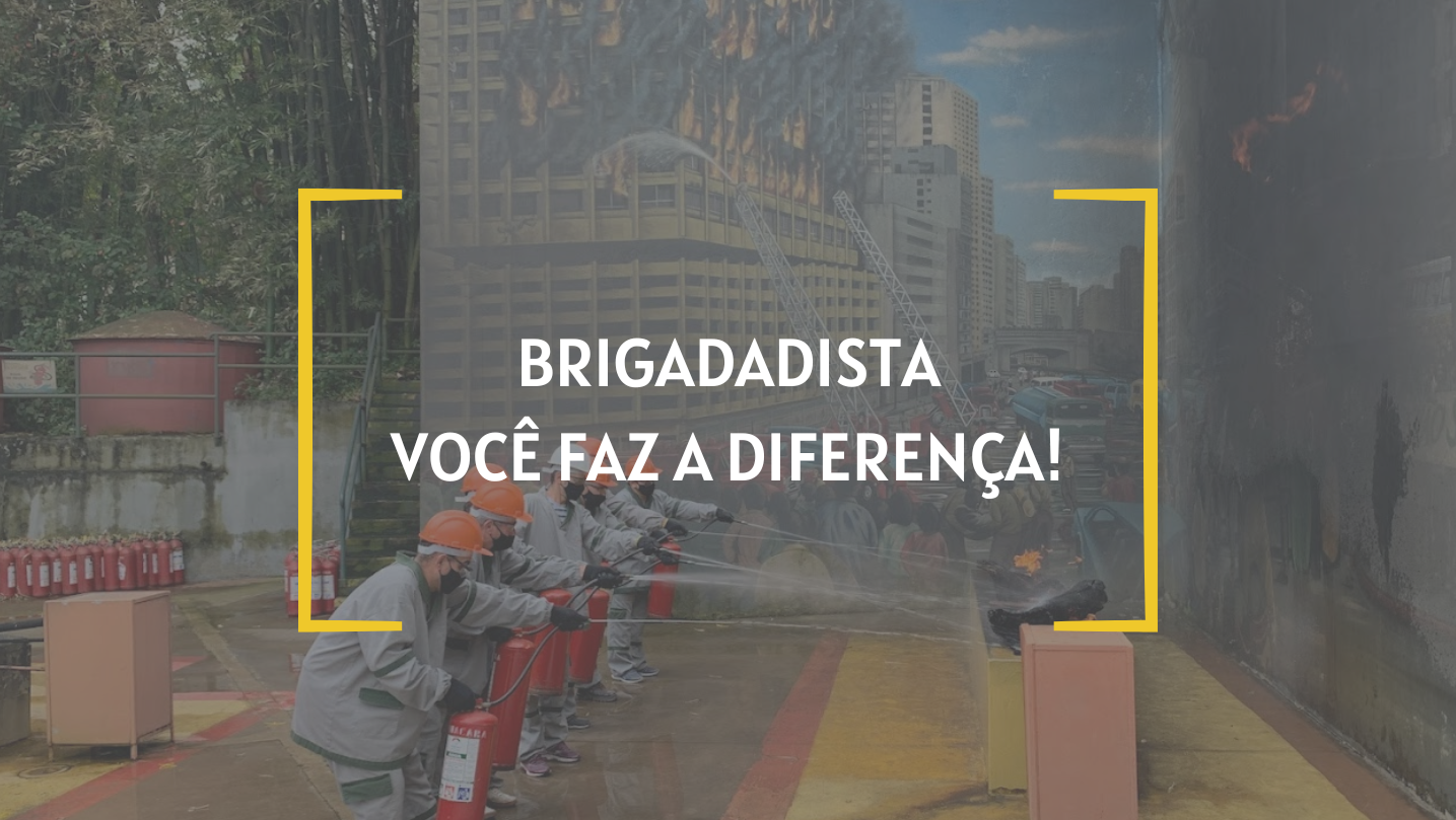 O Brigadista O Her i Que Faz A Diferen a Na Preven o De Inc ndios
